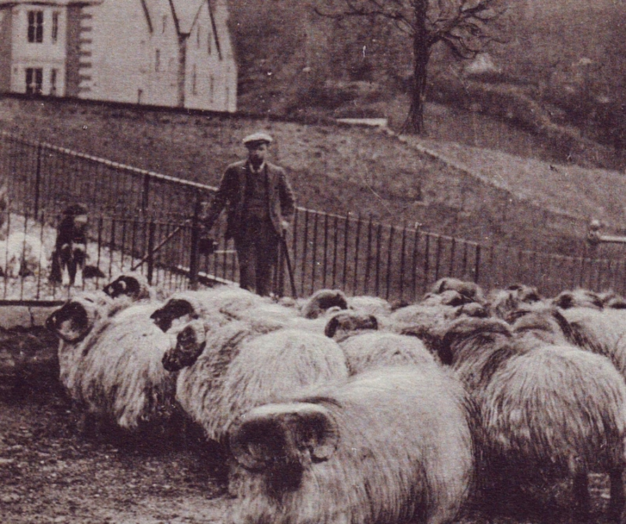 Inversnaid Hotel - Lochs & Glens Holidays