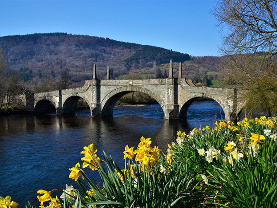 Spring Breaks - Lochs & Glens Holidays